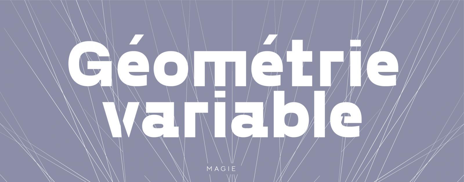 Géométrie Variable | Le Figuier blanc