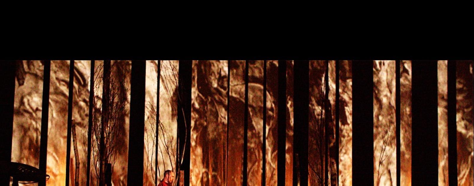 Forêt symphonie | Le Figuier blanc